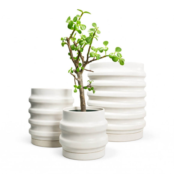 Handcrafted Ceramic Planters | New York Handcrafted – Eclectic Treasures